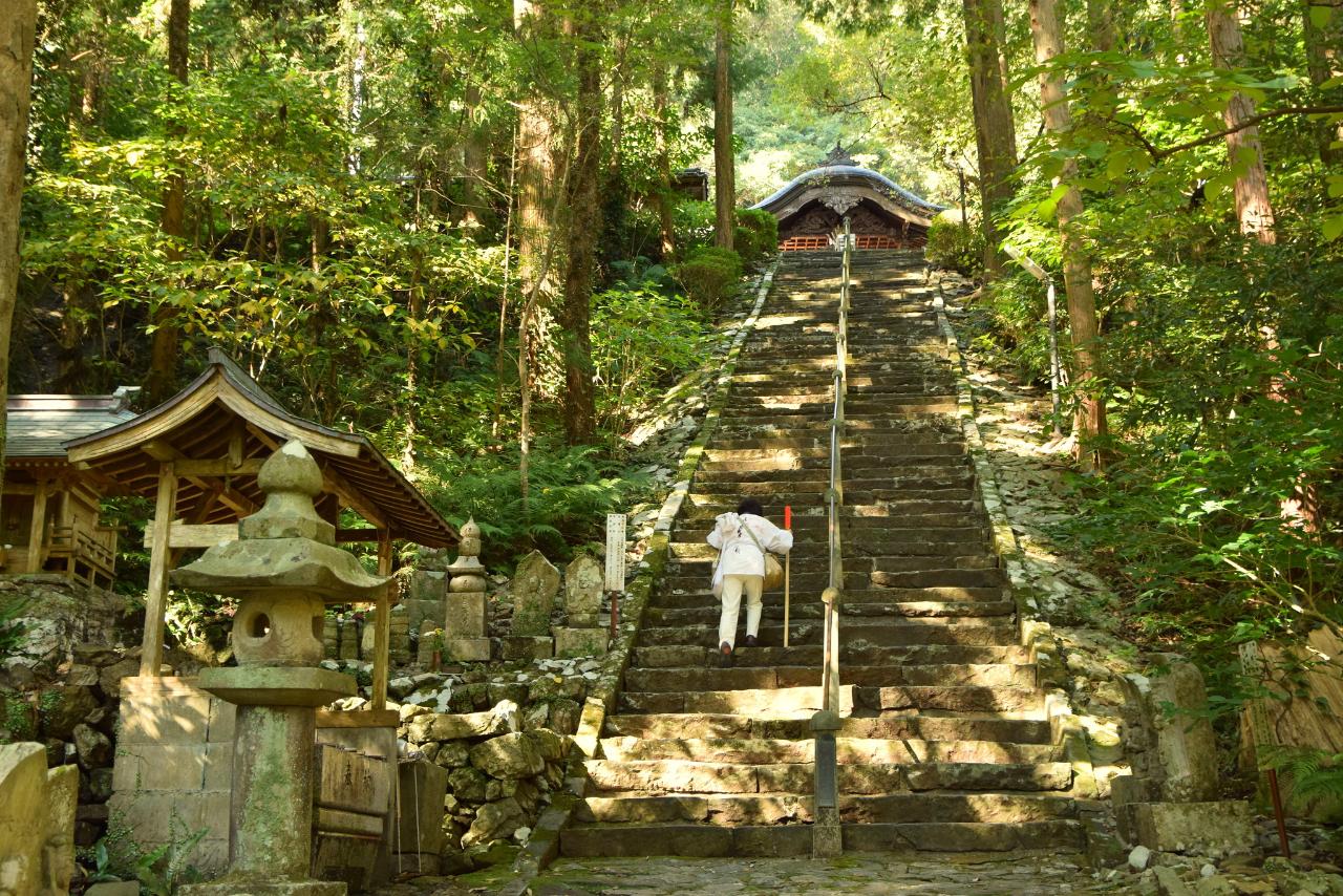 Shikoku 7-Day Cultural Heritage Discovery Tour